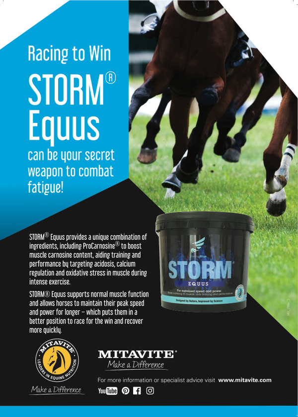 Vitamite Storm Equus - Oakford Stockfeeds