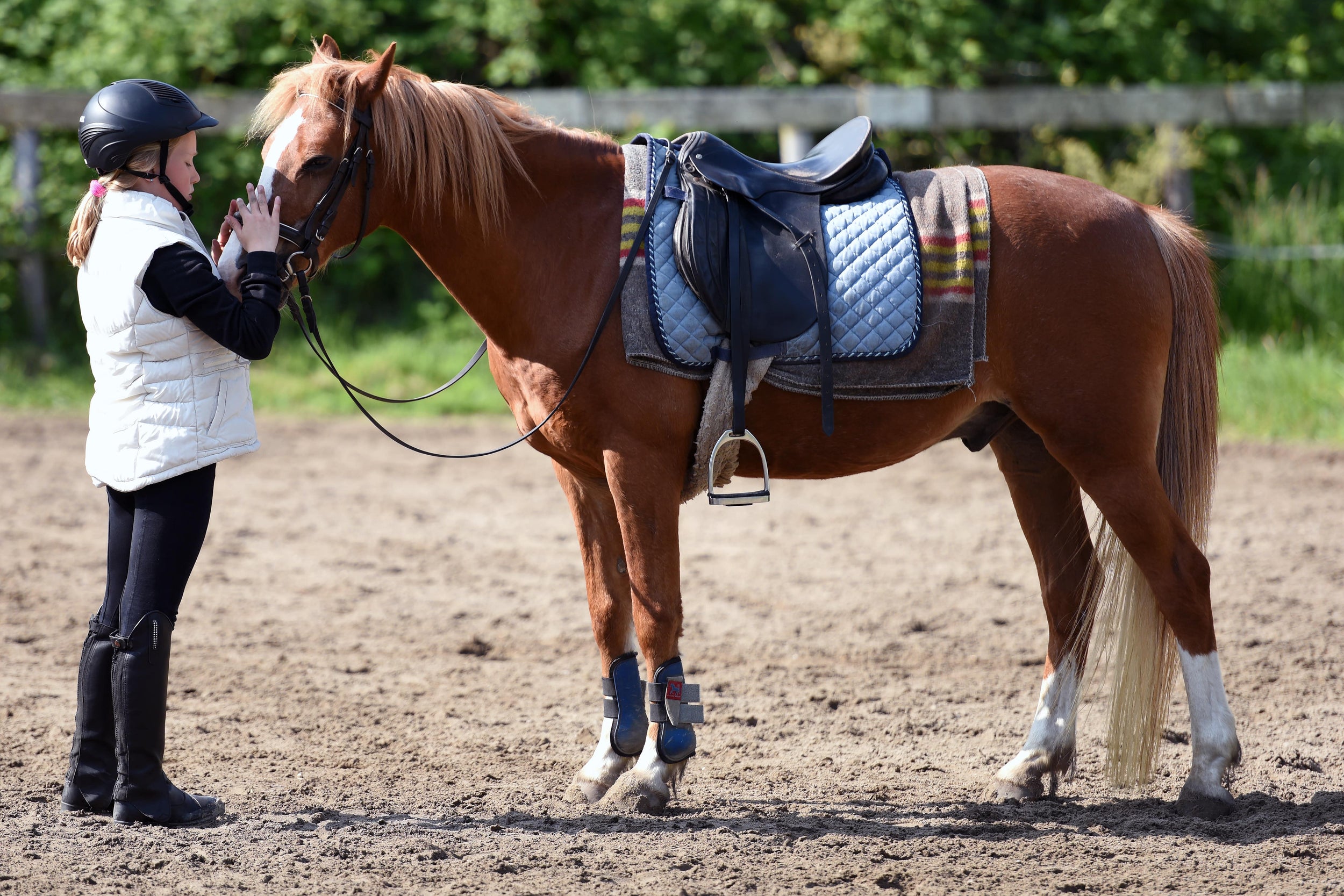 Oakford Stockfeeds | Horse & Pet Supplies Perth